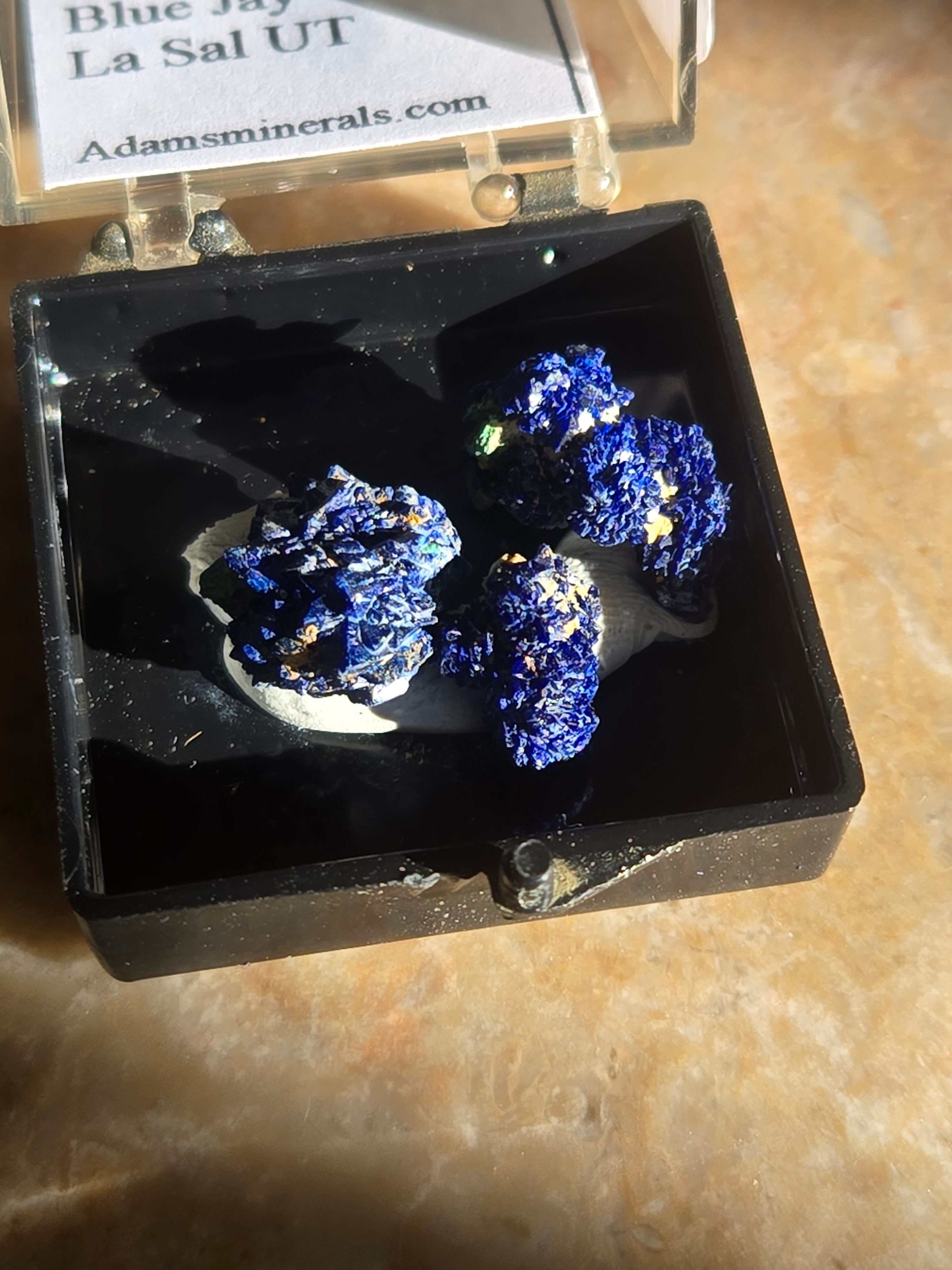 Azurite - Adam's Minerals LLC