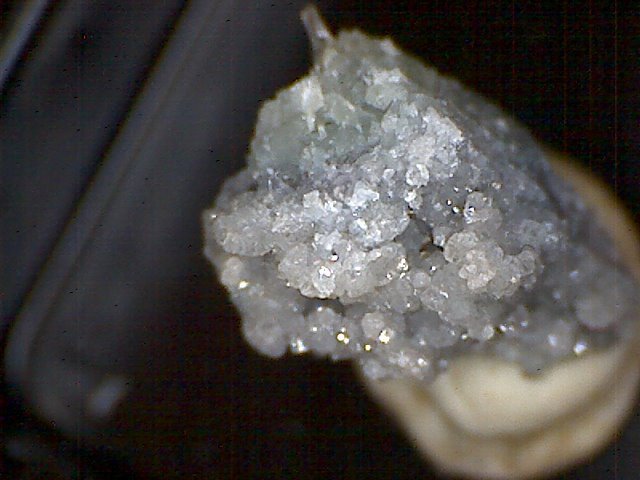 Boracite thumbnail - Adam's Minerals LLC