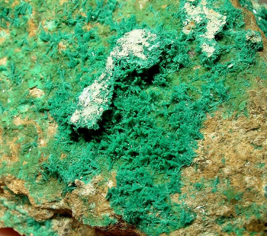Botallackite specimen - Adam's Minerals LLC