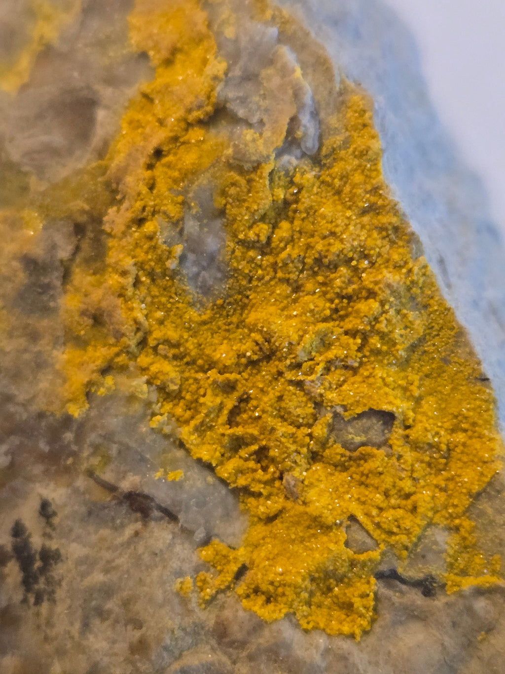Carnotite crystals - Adam's Minerals LLC