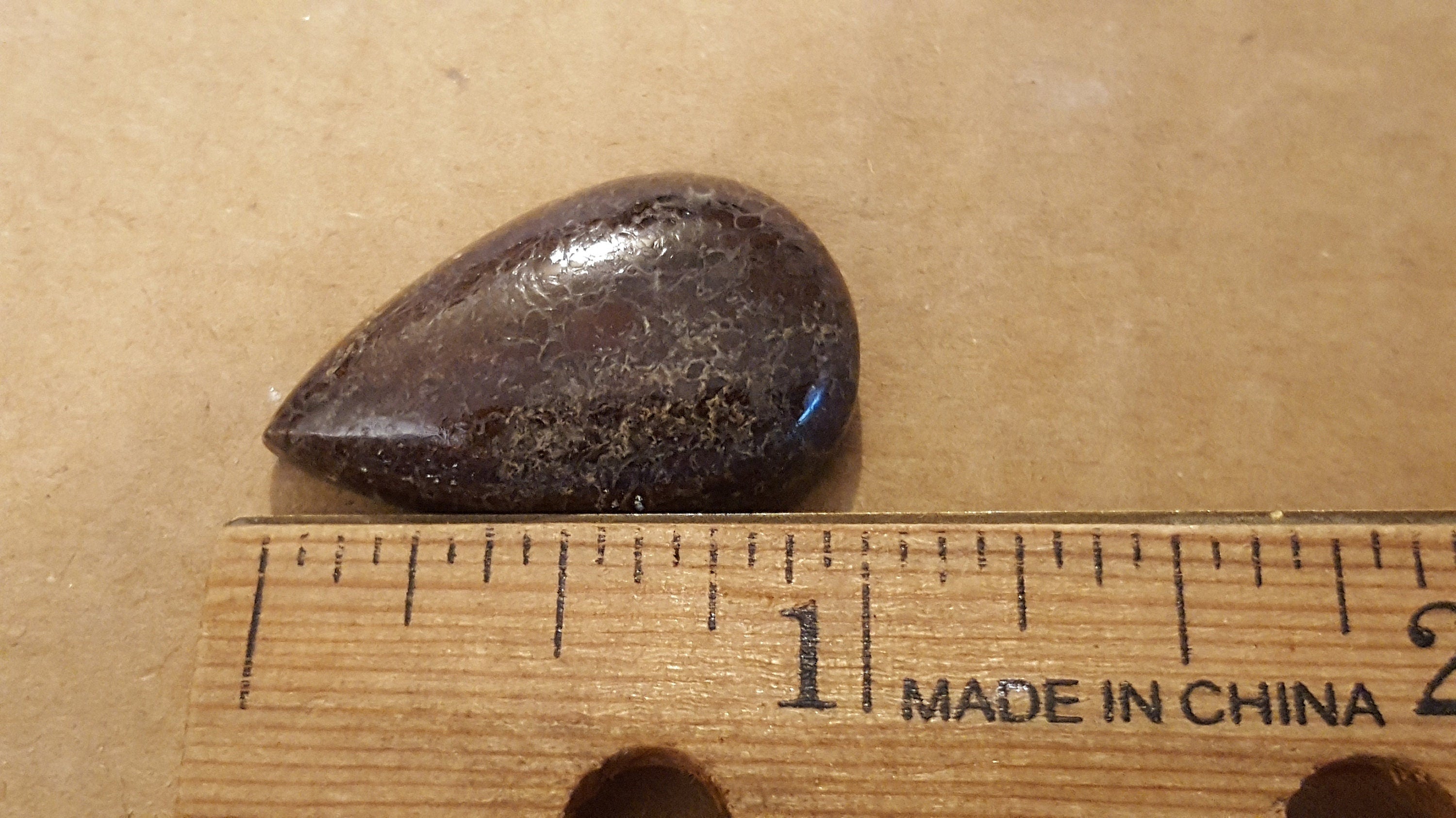 Dinosaur Bone Cabochon - Adam's Minerals LLC