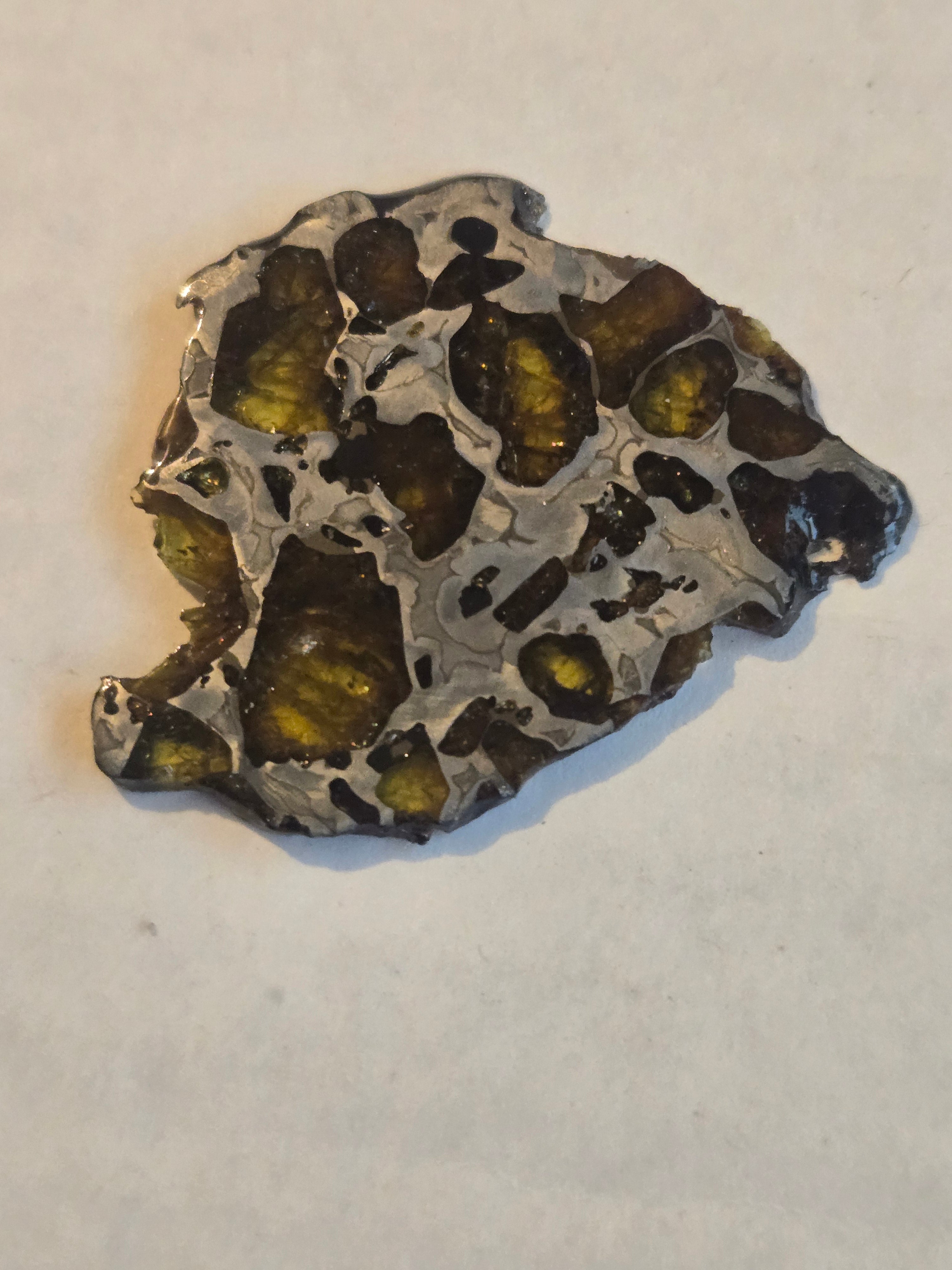 Imilac Pallasite - Adam's Minerals LLC
