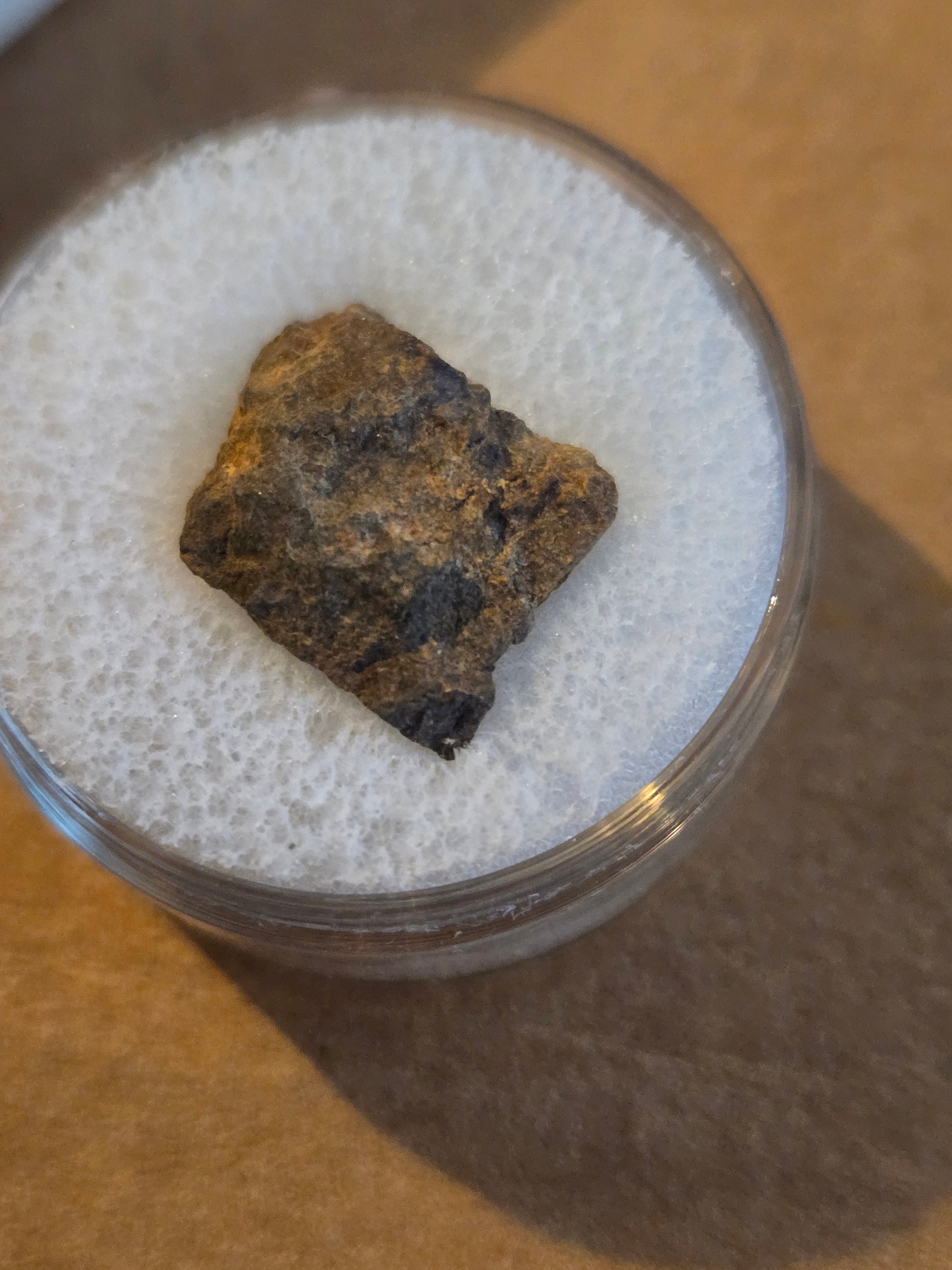 NWA 7336 meteorite - Adam's Minerals LLC