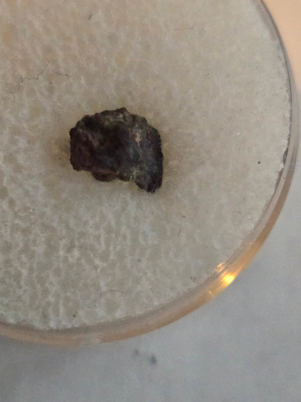 Sayh al Uhaymir 001 meteorite specimen - Adam's – Adam's Minerals LLC