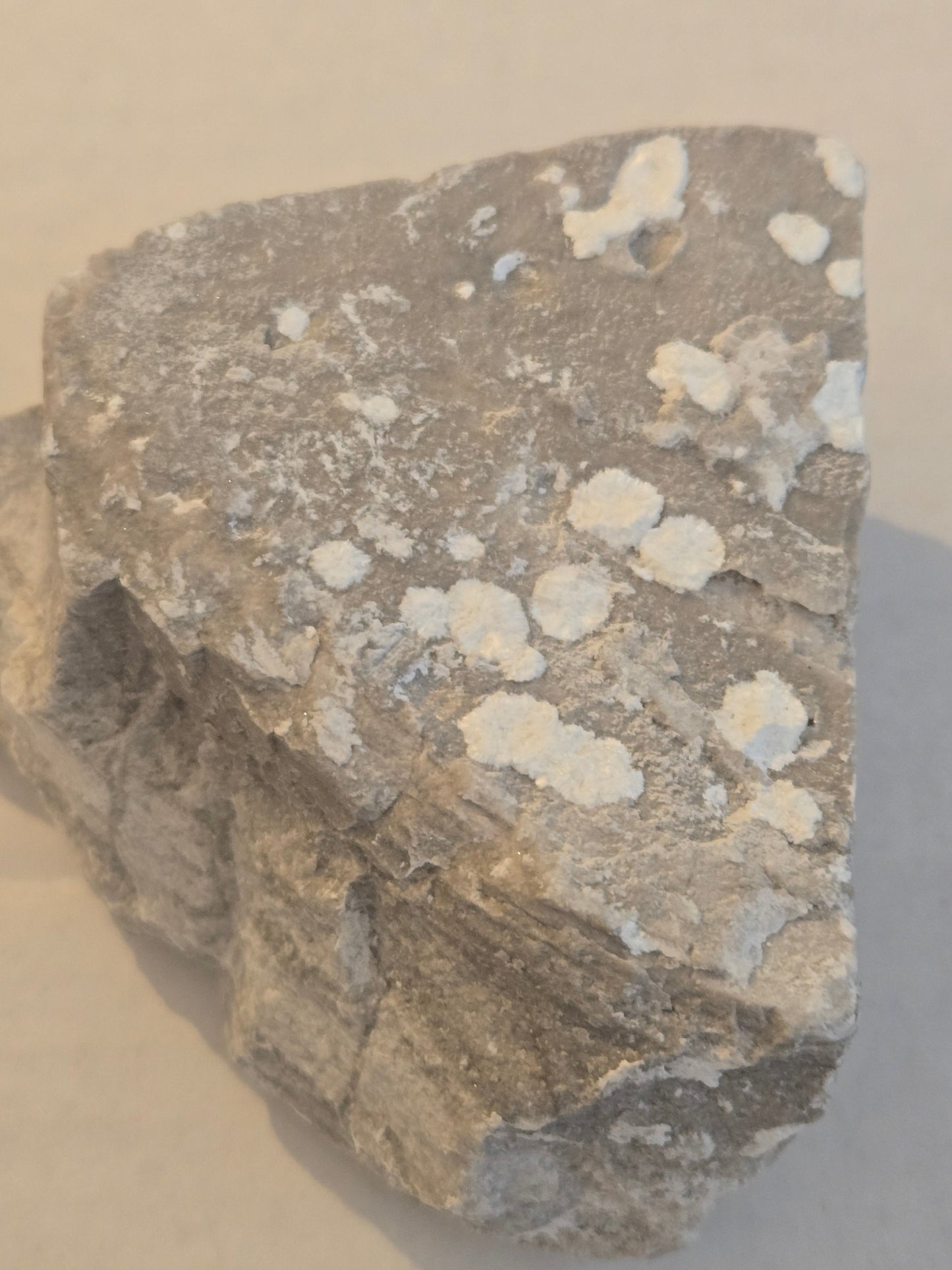 Ulexite - Adam's Minerals LLC