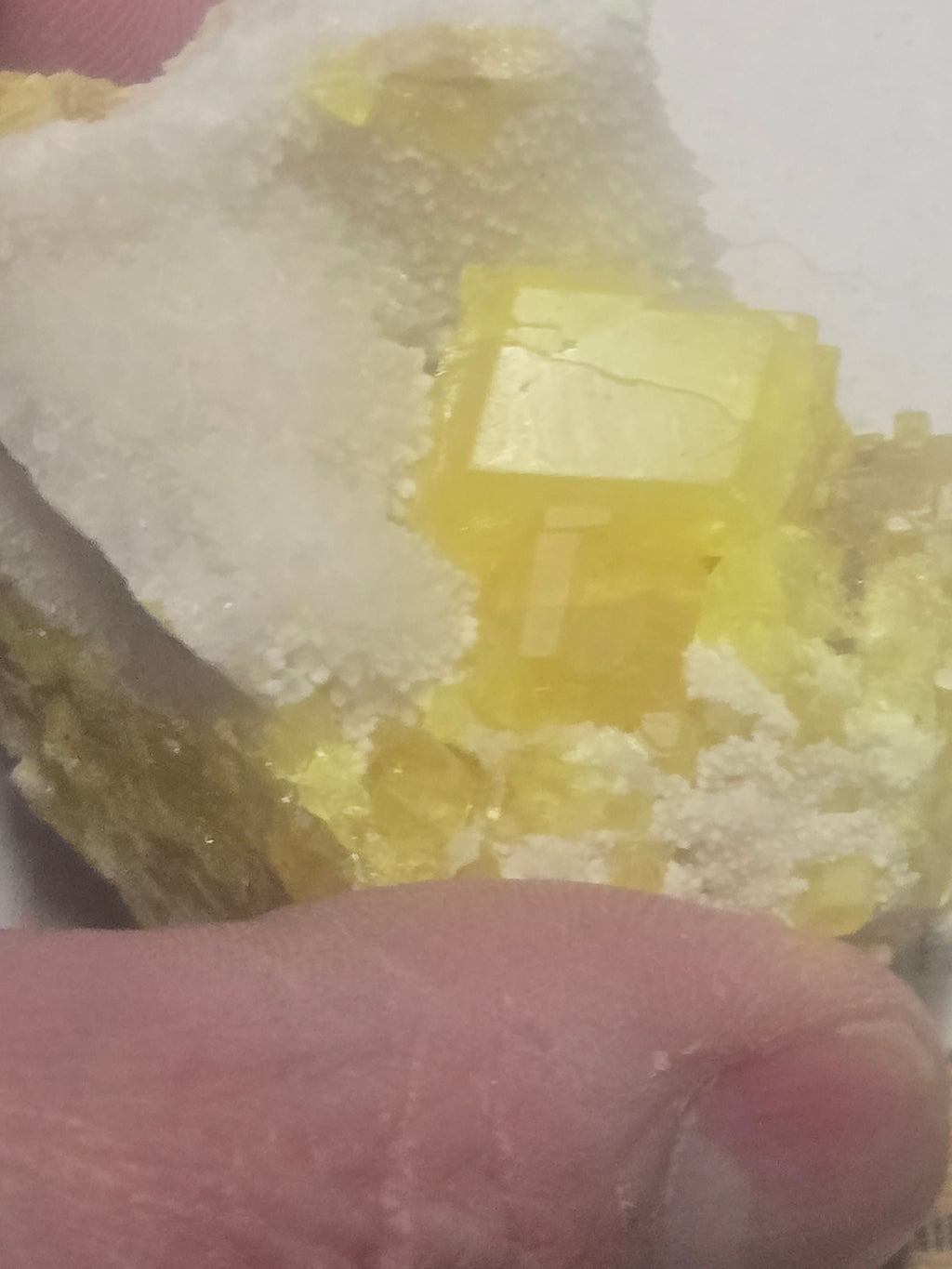 Yellow Sulphur (sulfur) with Celestite - Adam's – Adam's Minerals LLC
